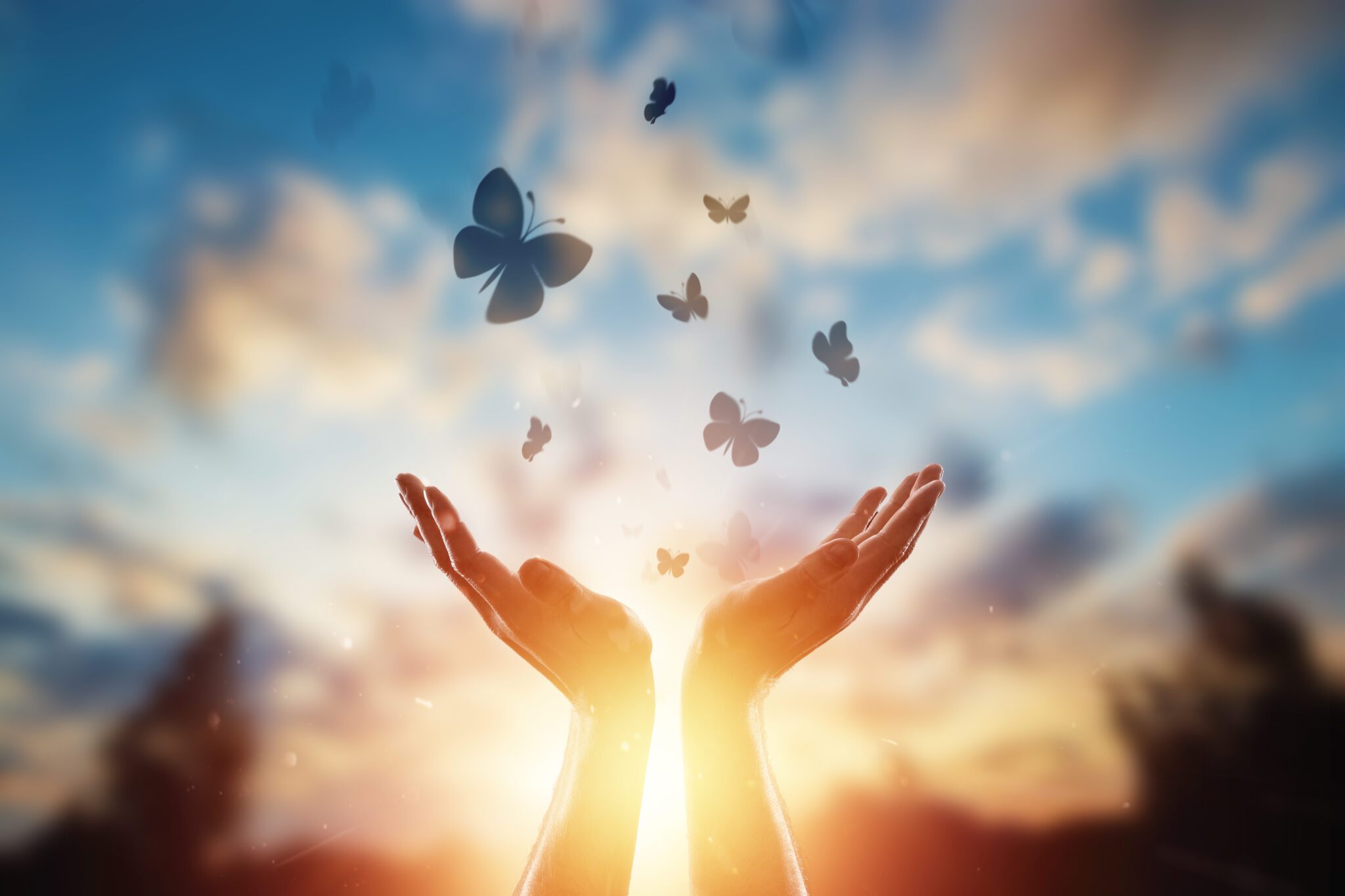 Grief and Bereavement Resources and Services - Michigan 2-1-1